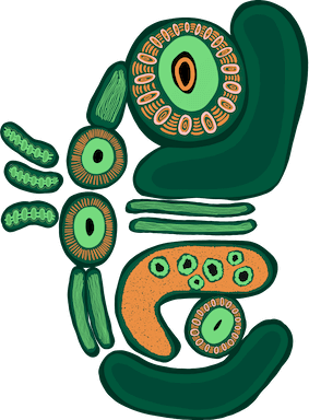 How can I claim a refund on my OSHC cover | Help & Support | nib